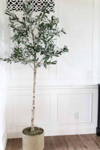 DIY Olive Tree That Looks High-End - The Lived-in Look