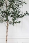 DIY Olive Tree That Looks High-End - The Lived-in Look