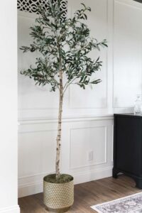DIY Olive Tree That Looks High-End - The Lived-in Look