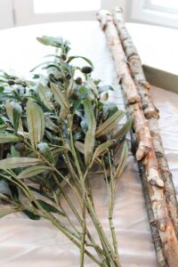 DIY Olive Tree That Looks High-End - The Lived-in Look