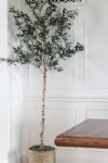 DIY Olive Tree That Looks High-End - The Lived-in Look